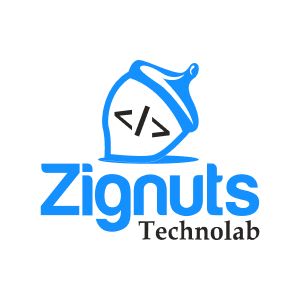 Zignuts Technolab Company Profile Funding & Investors | YourStory