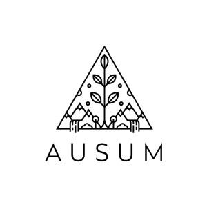 Ausum Company Profile, information, investors, valuation & Funding