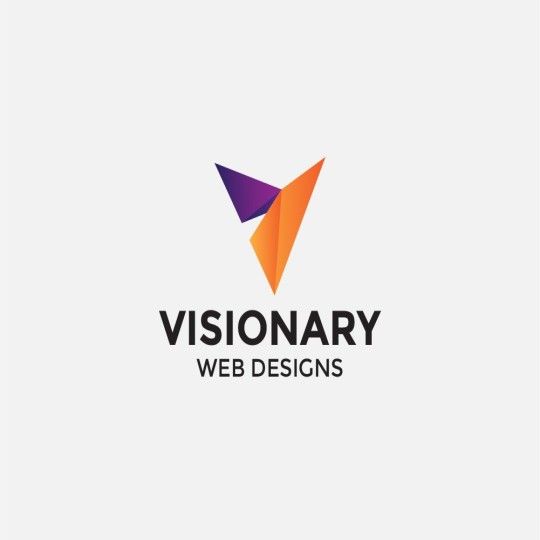 Visionary Web Designs Company Profile, information, investors ...