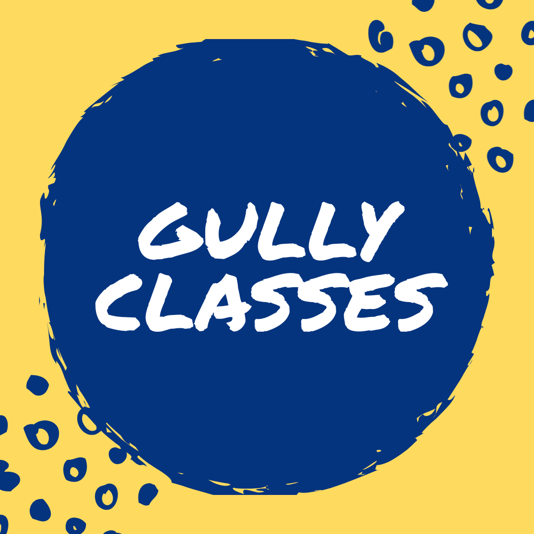 Gully Classes Foundation Company Profile, information, investors ...