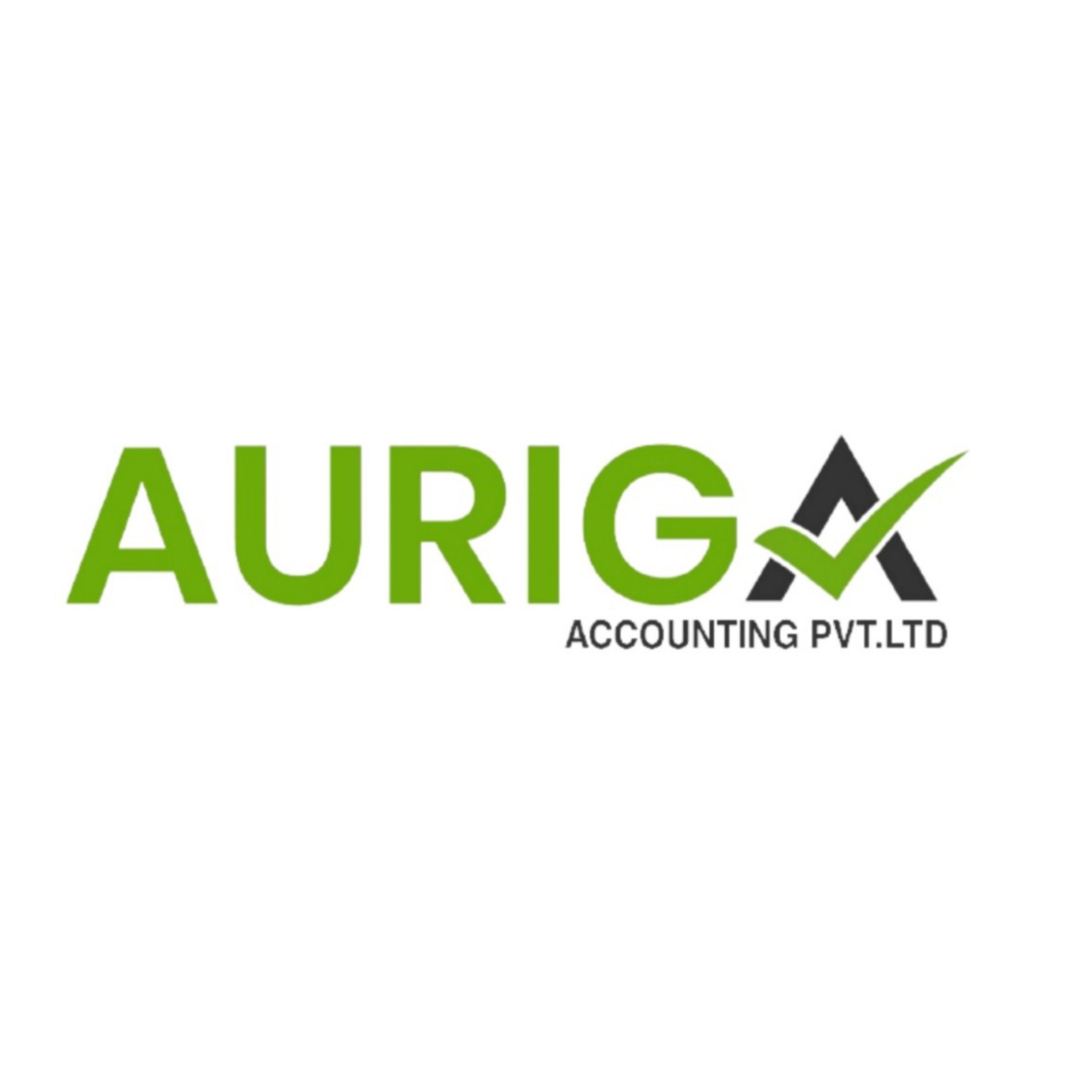 Auriga Accounting Company Profile, information, investors, valuation ...