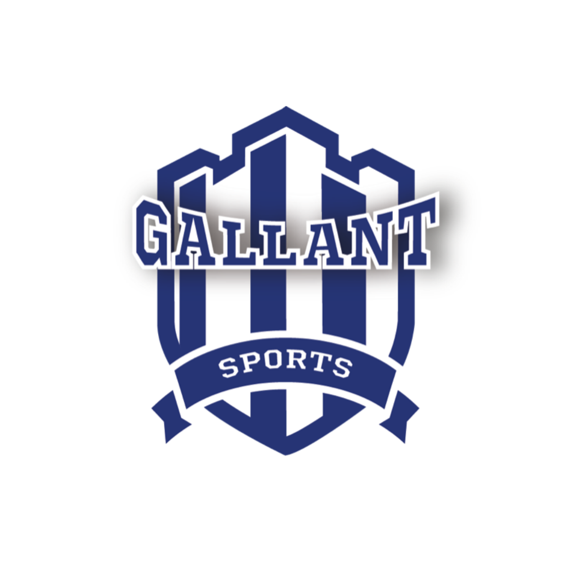 Gallant Sports Company Profile, information, investors, valuation & Funding
