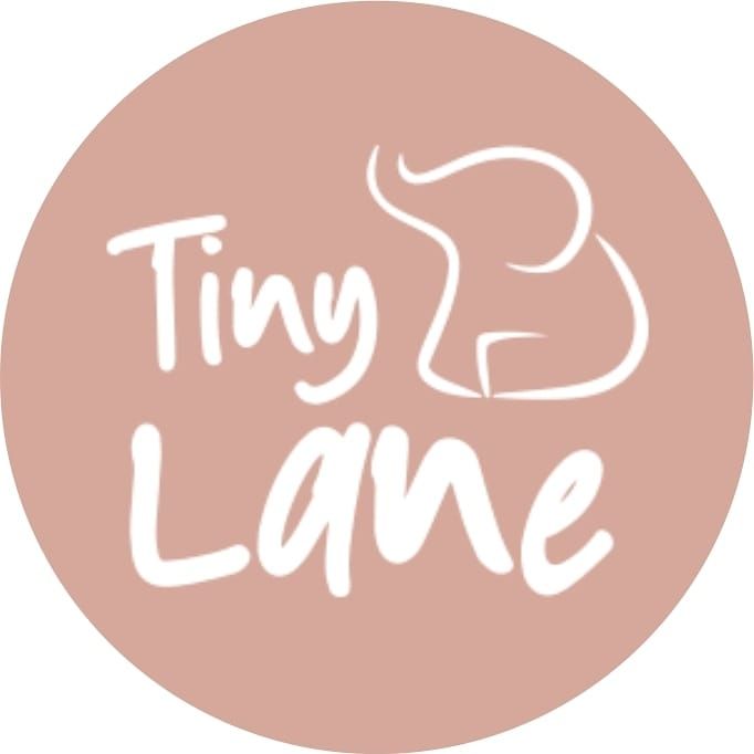 Tiny Lane Company Profile, information, investors, valuation & Funding