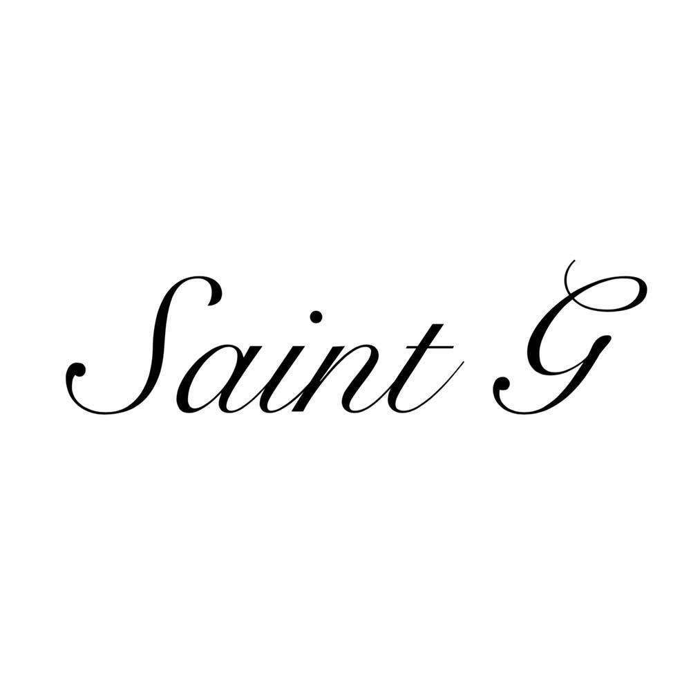 Saintg Company Profile Funding & Investors | YourStory