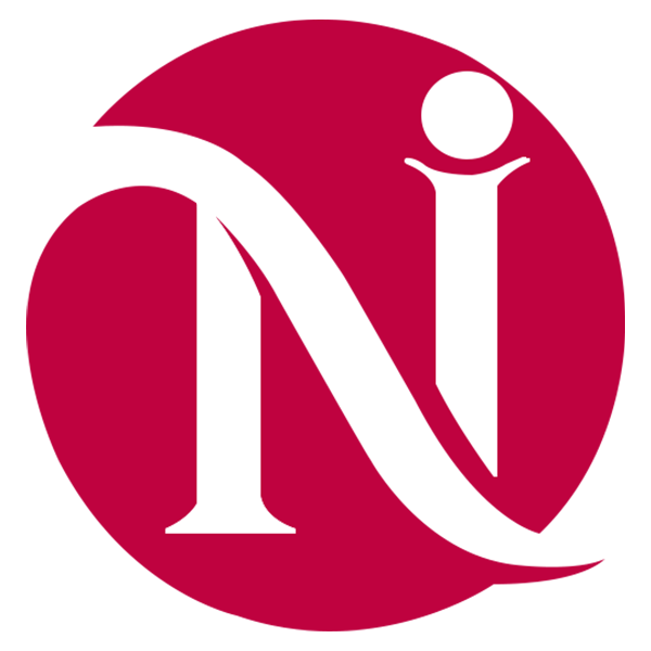 Insan Logo DSS VIDEOS YouTube