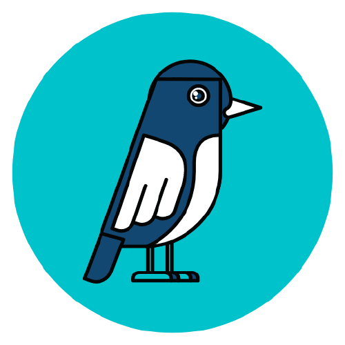 Pankh Company Profile, information, investors, valuation & Funding