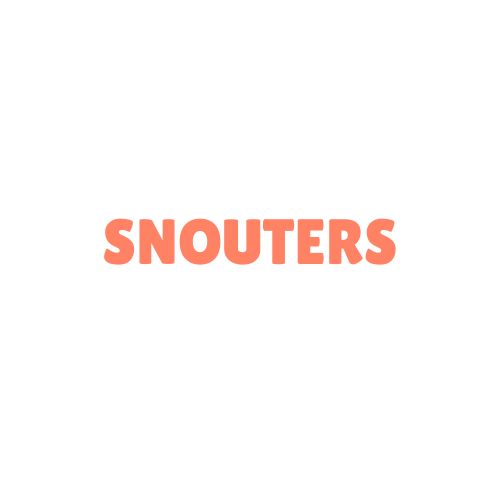 Snouters Company Profile, information, investors, valuation & Funding