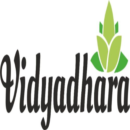 Vidyadhara Company Profile Funding & Investors | YourStory