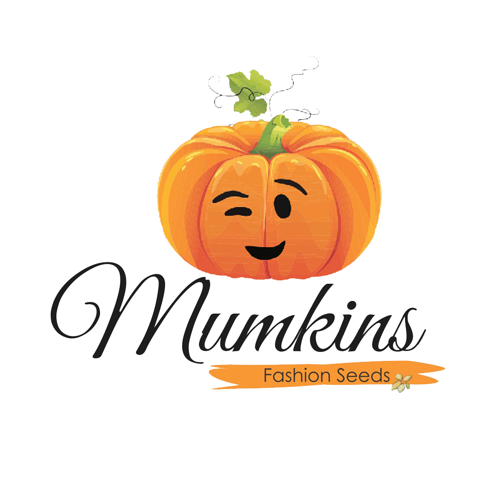 Mumkins Company Profile Funding & Investors | YourStory