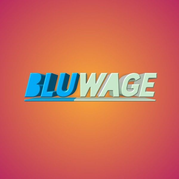 Bluwage Company Profile, information, investors, valuation & Funding
