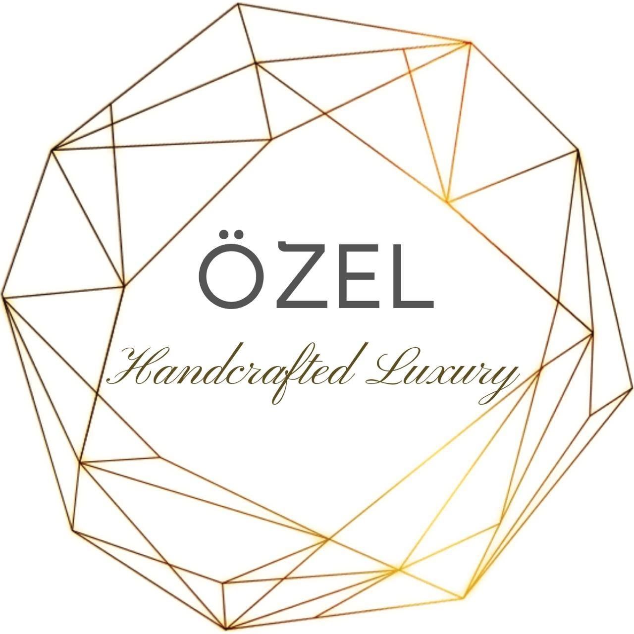 Ozel Company Profile, information, investors, valuation & Funding