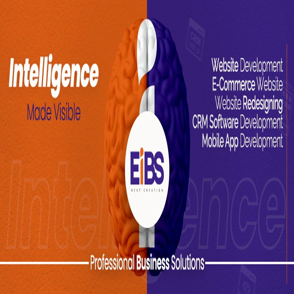 Elysian Intelligence Business Solution Company Profile Funding ...