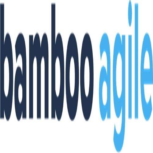 Bamboo Agile Company Profile Funding & Investors | YourStory