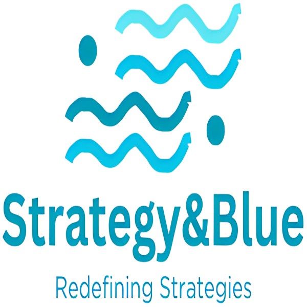 Strategy&Blue Company Profile, information, investors, valuation & Funding