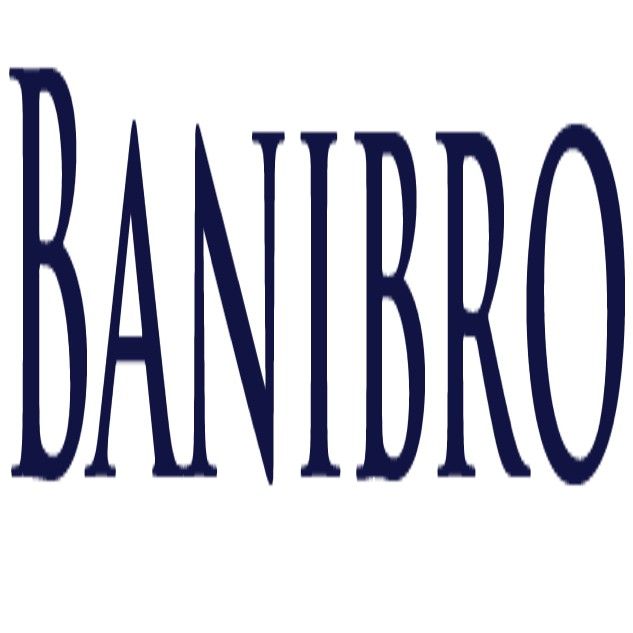Banibro IT Solutions Company Profile, information, investors, valuation & Funding