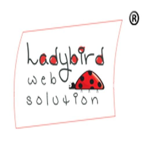 Ladybird Web Solution Company Profile Funding & Investors | YourStory