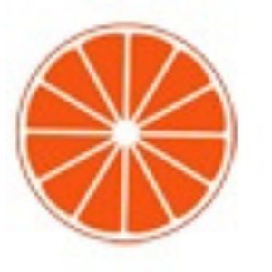 Orange Digital Marketing Company Profile Funding & Investors | YourStory