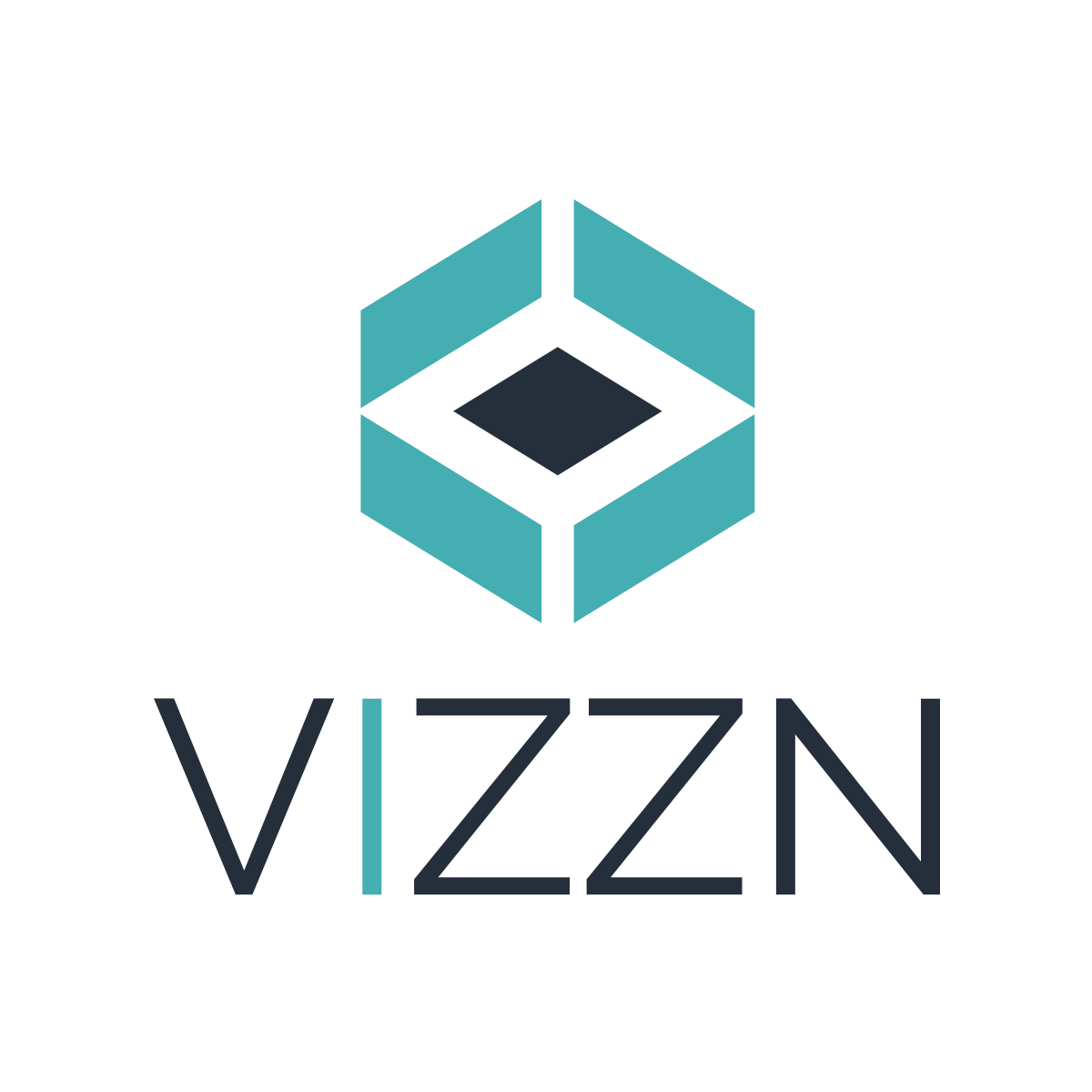 Vizzn Company Profile, information, investors, valuation & Funding