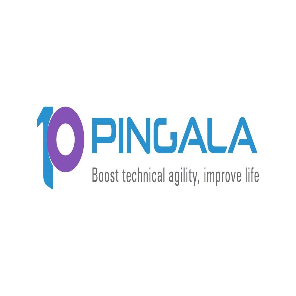 Pingala Software Company Profile, information, investors, valuation ...