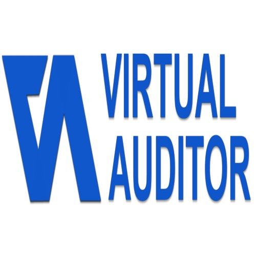 Virtual Auditor Company Profile, information, investors, valuation ...