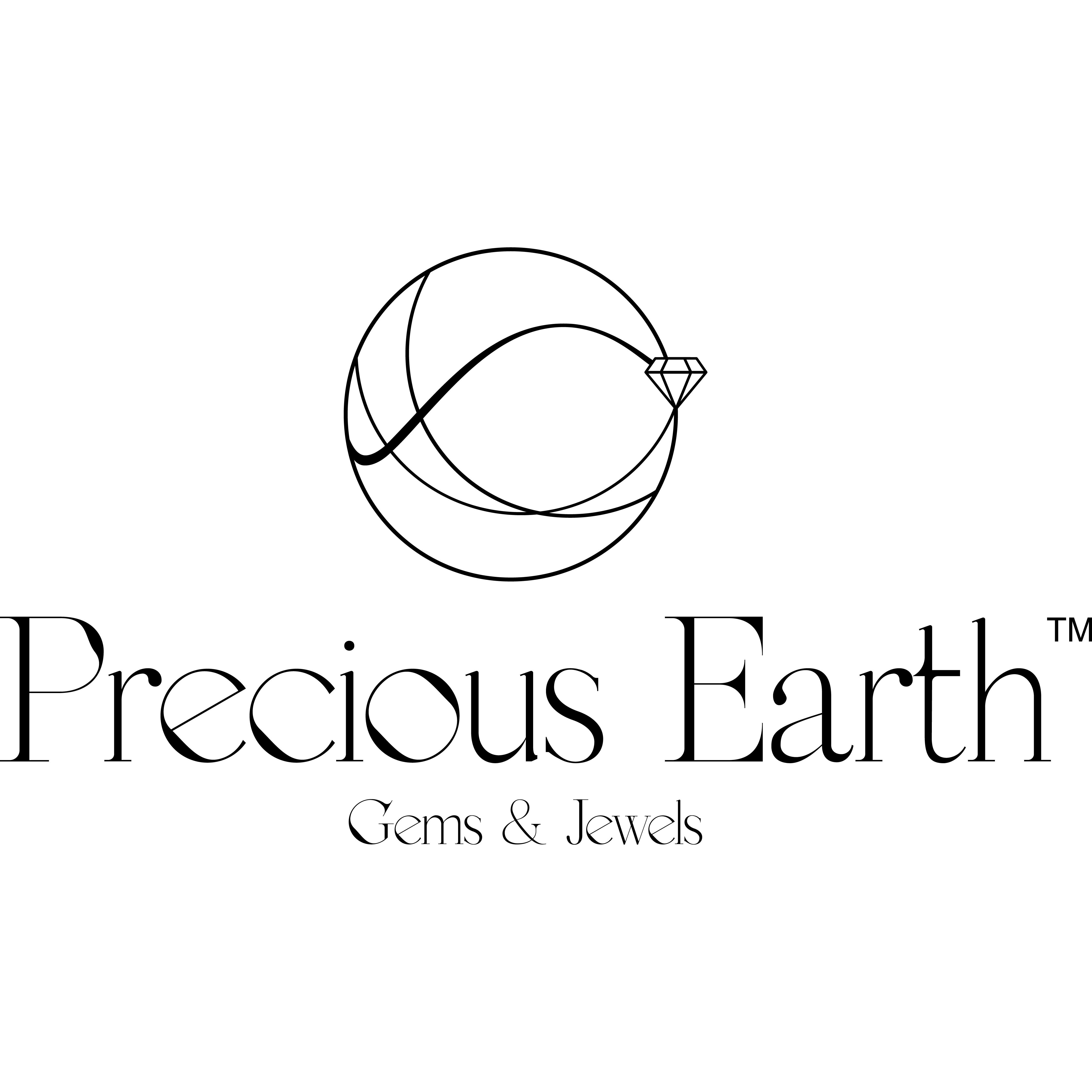 Precious Earth Company Profile, information, investors, valuation & Funding