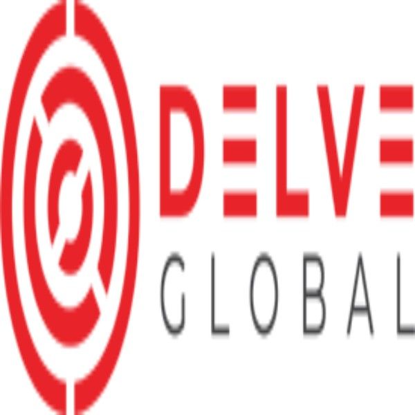 Delve Global Company Profile, information, investors, valuation & Funding