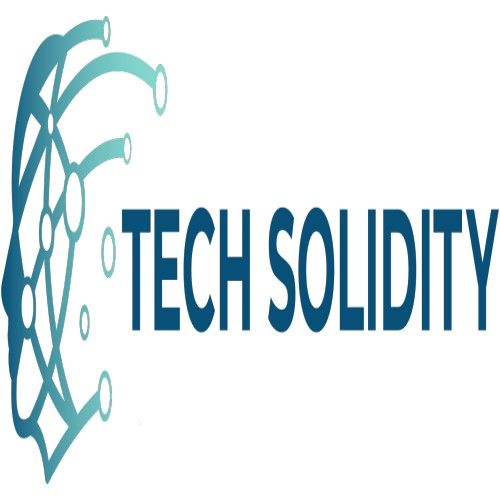 Techsolidity Company Profile Funding & Investors | YourStory