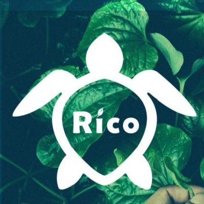 RICO Company Profile, information, investors, valuation & Funding