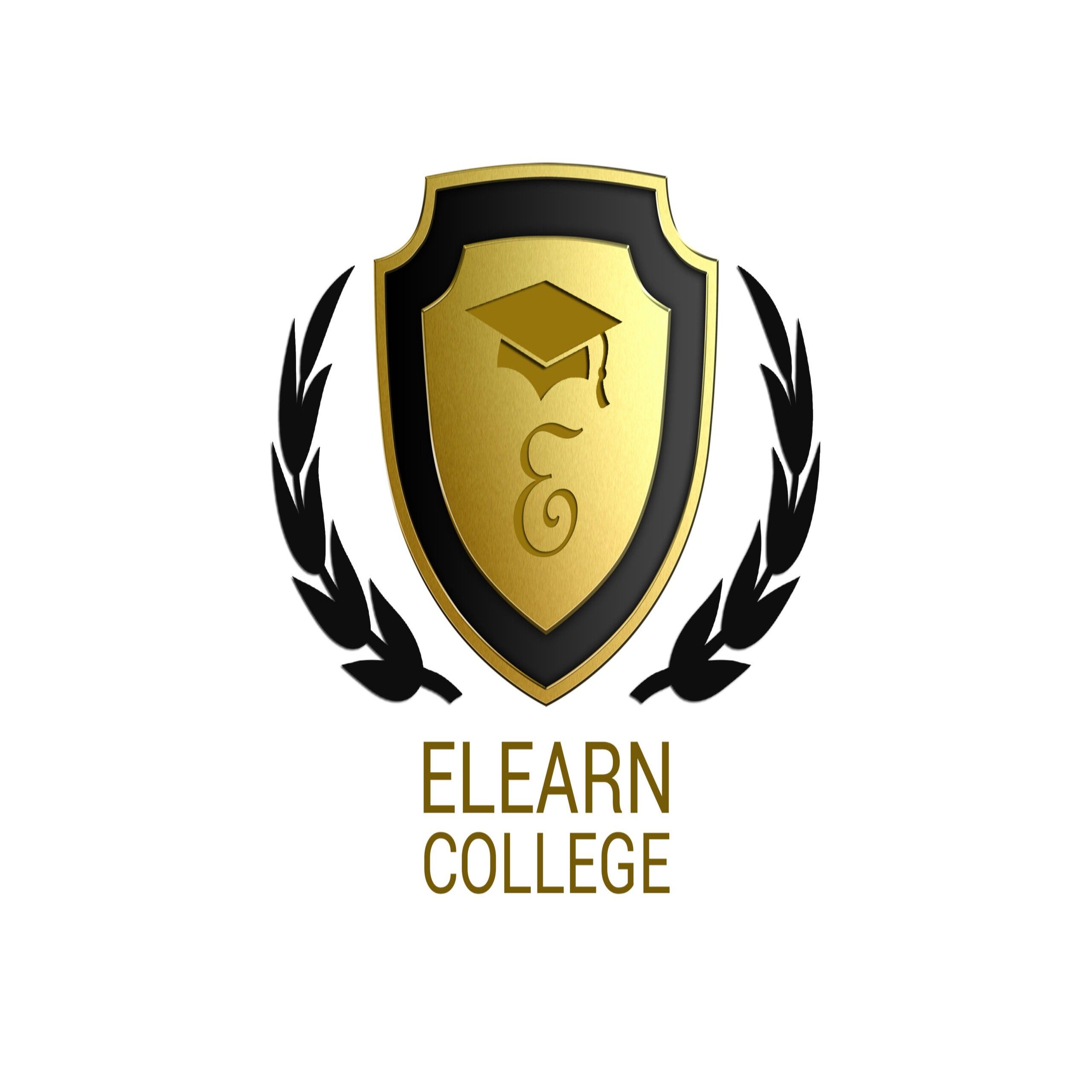Elearn college Company Profile Funding & Investors | YourStory
