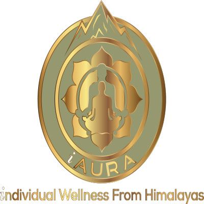 iAura Company Profile, information, investors, valuation & Funding