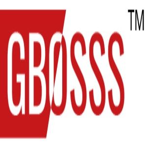 Gbosss Company Profile, information, investors, valuation & Funding
