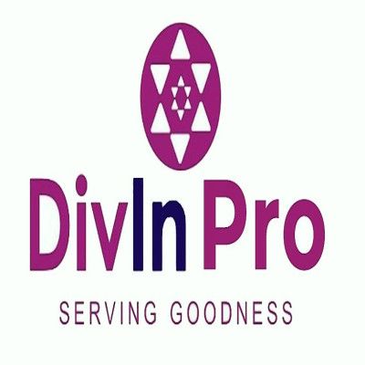 DivIn Pro Company Profile, information, investors, valuation & Funding
