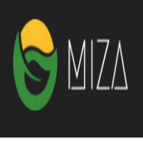 Miza Company Profile, information, investors, valuation & Funding