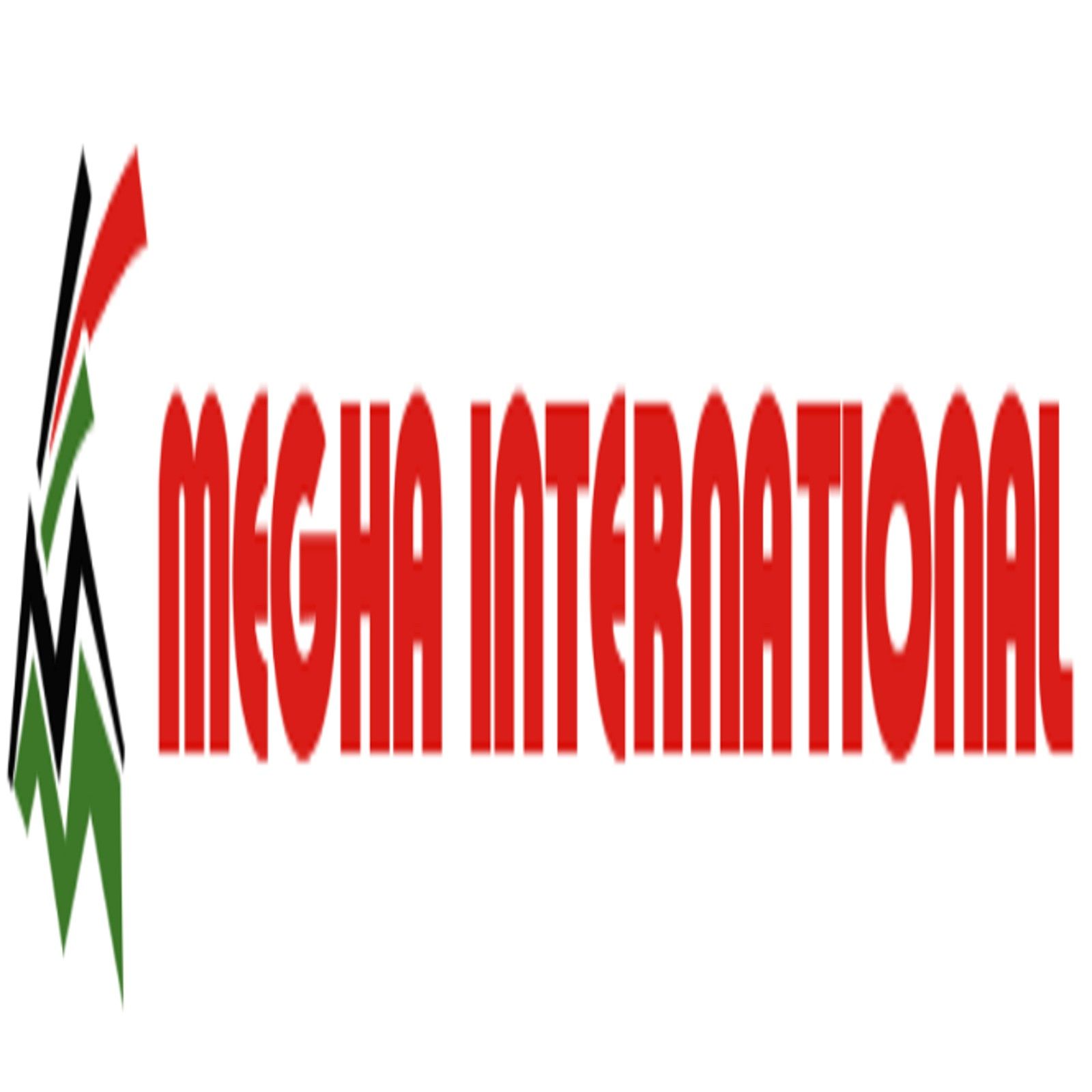 Megha International Company Profile Funding & Investors | YourStory