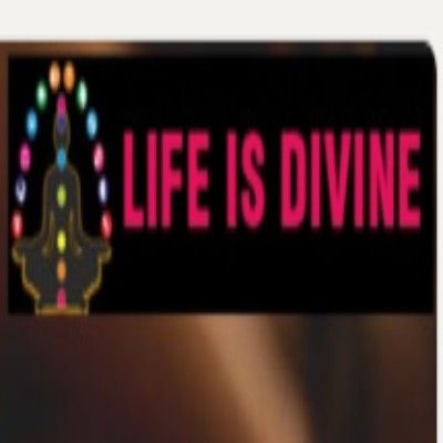 Life is Divine Company Profile, information, investors, valuation & Funding