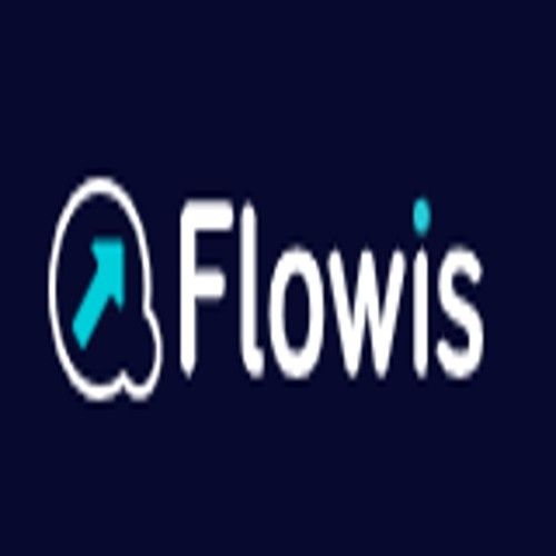 Flowis Company Profile, information, investors, valuation & Funding