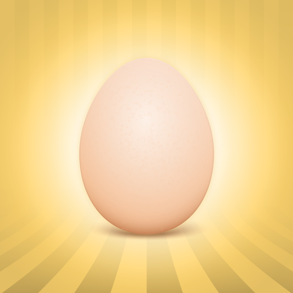 Chaldal.com Company Profile Funding & Investors | YourStory