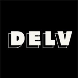 Delv.AI Company Profile, information, investors, valuation & Funding