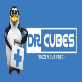 Dr. Cubes Company Profile, information, investors, valuation & Funding