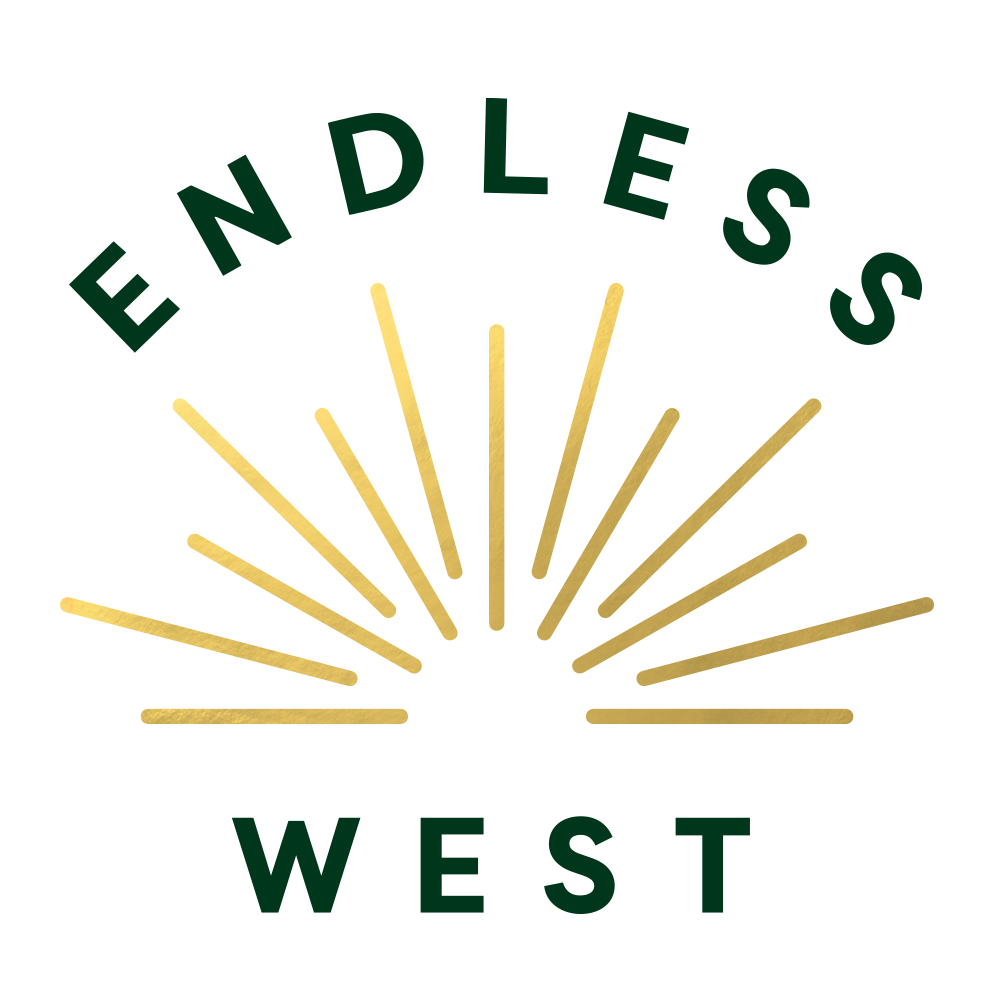 Endless West Company Profile, information, investors, valuation & Funding