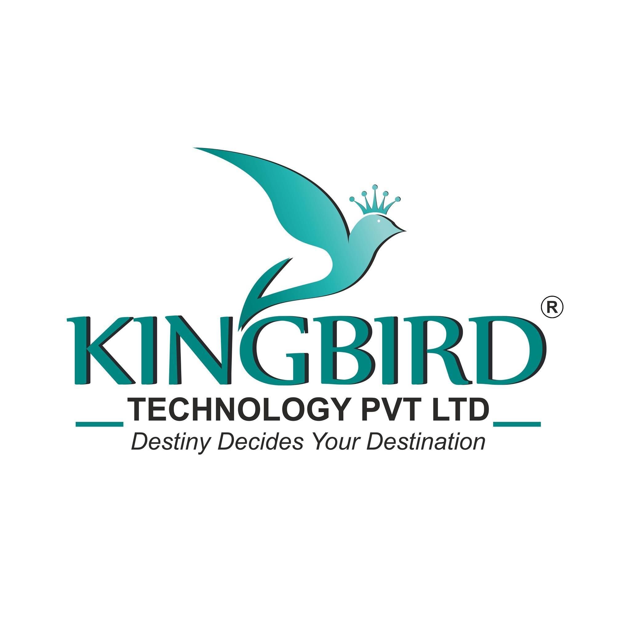 Kingbird Company Profile, information, investors, valuation & Funding