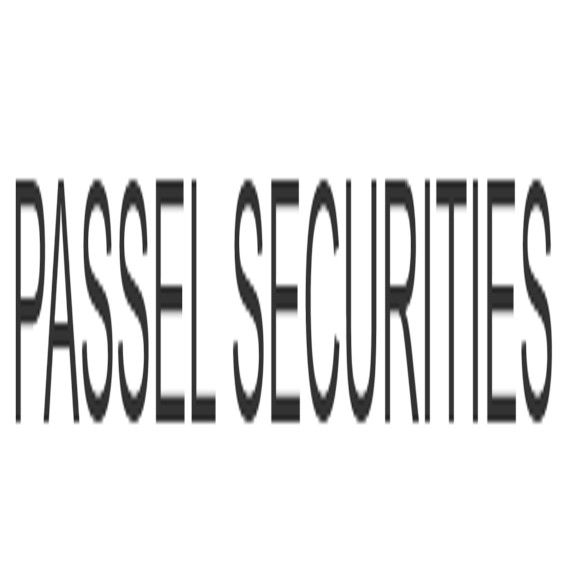 Passel Securities Company Profile, information, investors, valuation ...