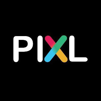 Pixl Company Profile Funding & Investors | YourStory