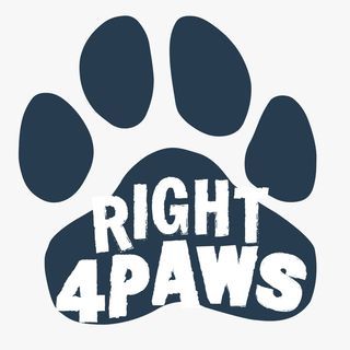 Right4Paws Company Profile, information, investors, valuation & Funding