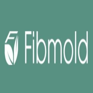 Fibmold Company Profile Funding & Investors | YourStory