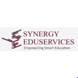 Synergy Eduservices Company Profile, information, investors, valuation ...