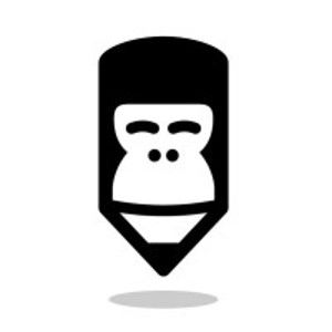 Testgorilla Company Profile Information Investors Valuation Funding
