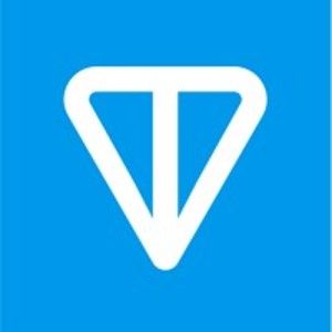 The Open Network Company Profile, information, investors, valuation ...