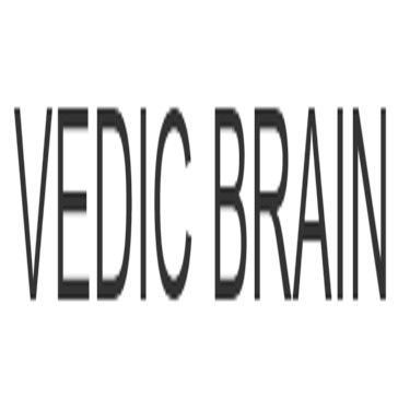 Vedic Brain Solutions Company Profile, information, investors ...