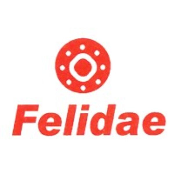 Felidae Infosec Company Profile, information, investors, valuation ...